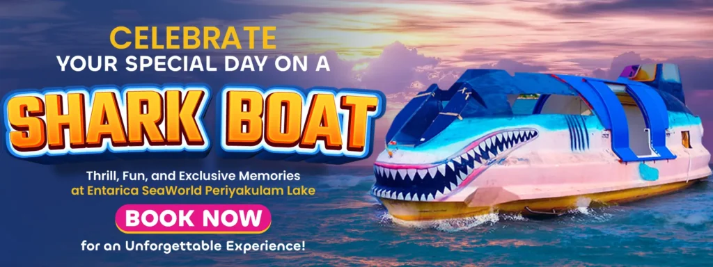 Enjoy Shark Boat Ride | Entartica SeaWorld